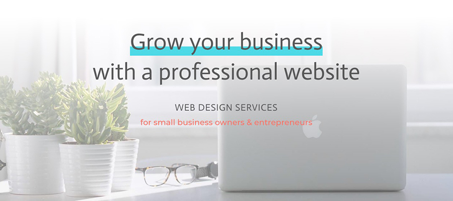 VA Services for WordPress websites